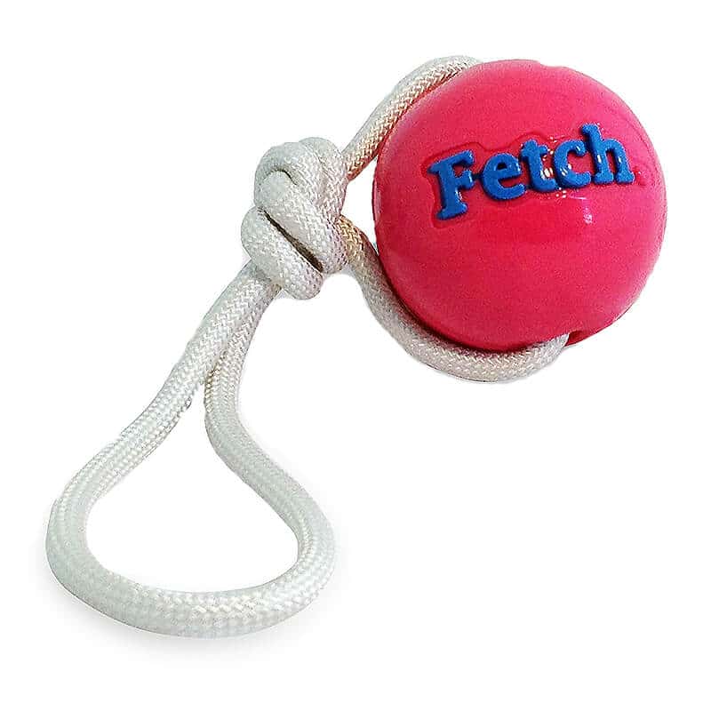 Planet Dog Fetch Ball - Rosa Con Cuerda — TusMascotas.cl — Pelota