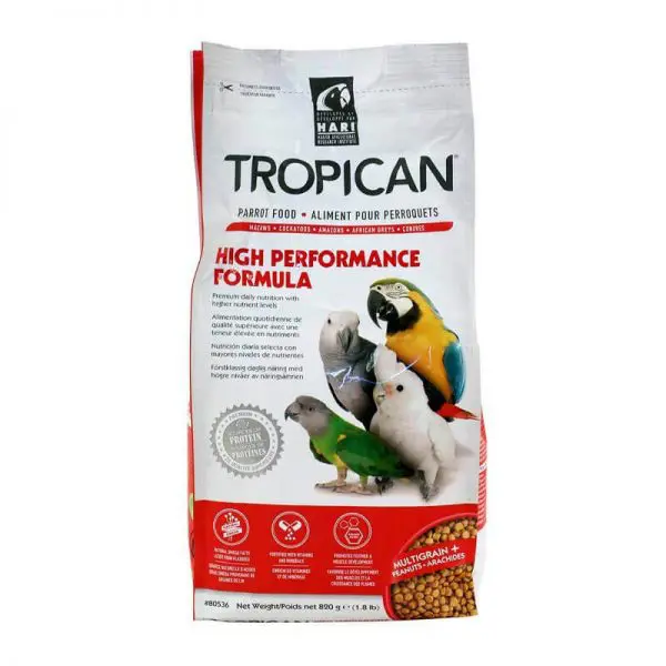 Alimentos y snacks para aves | TusMascotas.cl | Comida para aves