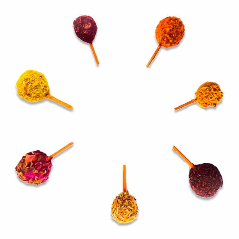 Mini Pops - La Granjita de Conejino — TusMascotas.cl