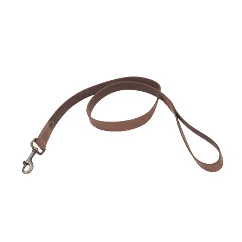 Correa cuero chocolate- Coastal1,8m — TusMascotas.cl