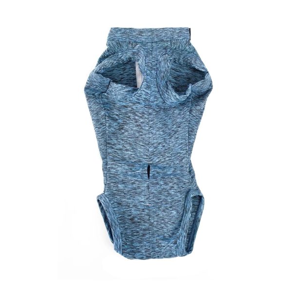 Body protector y post-quirurgico Perro Castrado Talla 10 AZUL ...